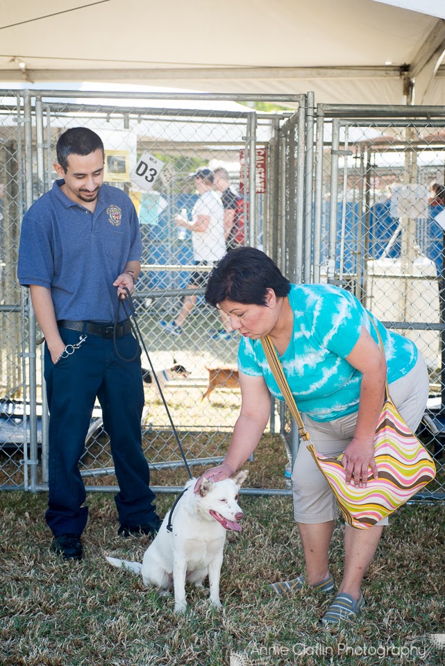 Position Information - Animal Control Officer