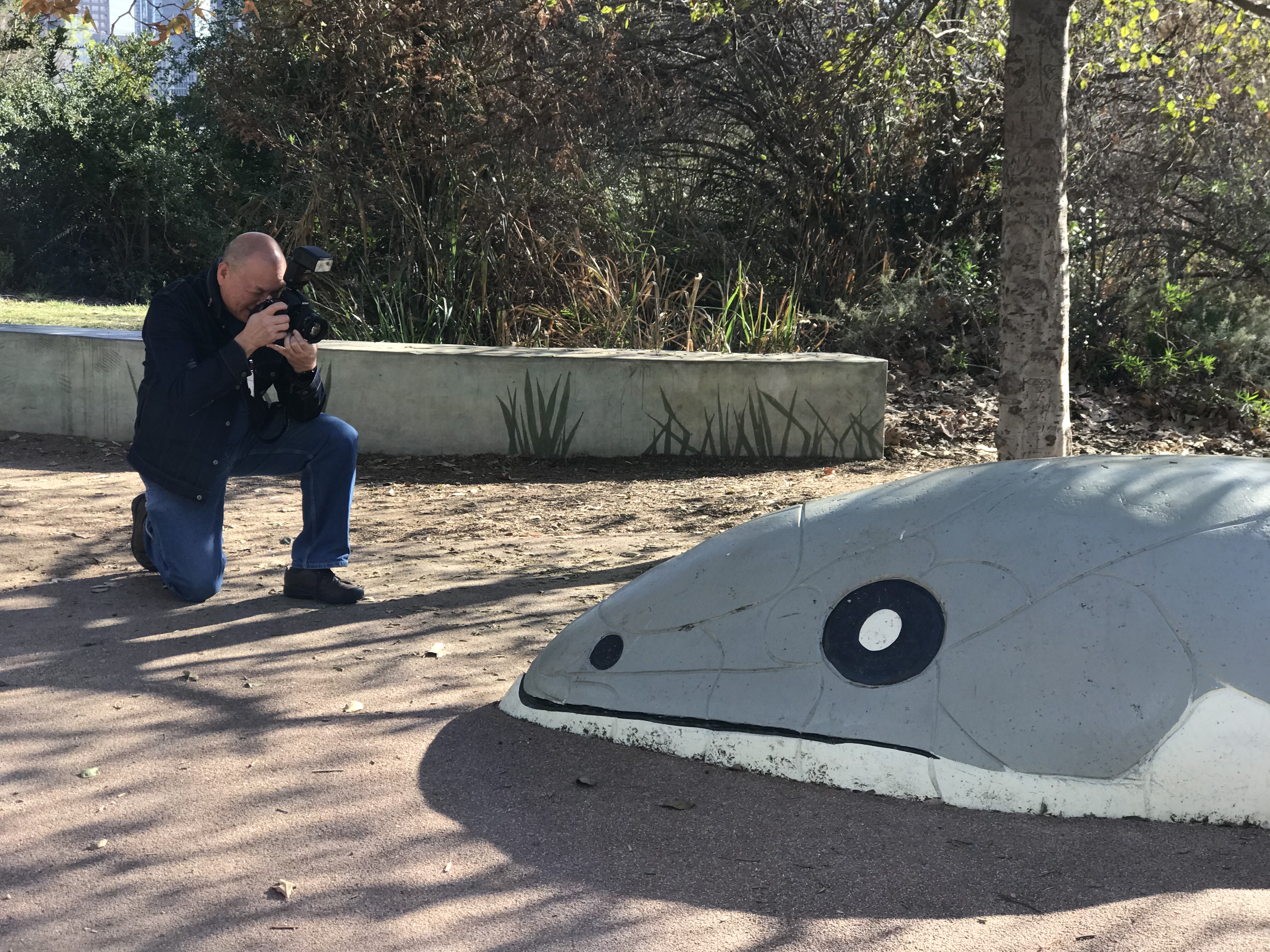 Position Information - Photographer